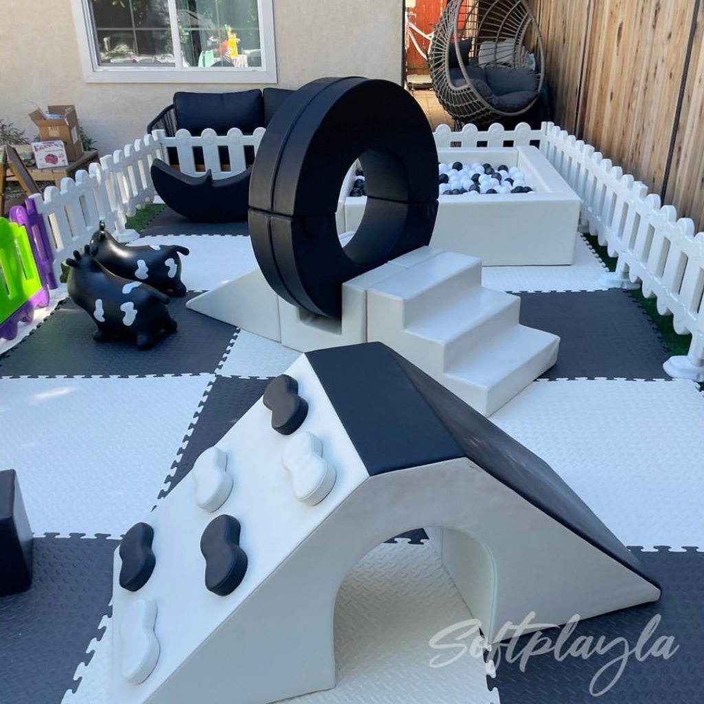 CITFUN – Professor of rental play equipment!